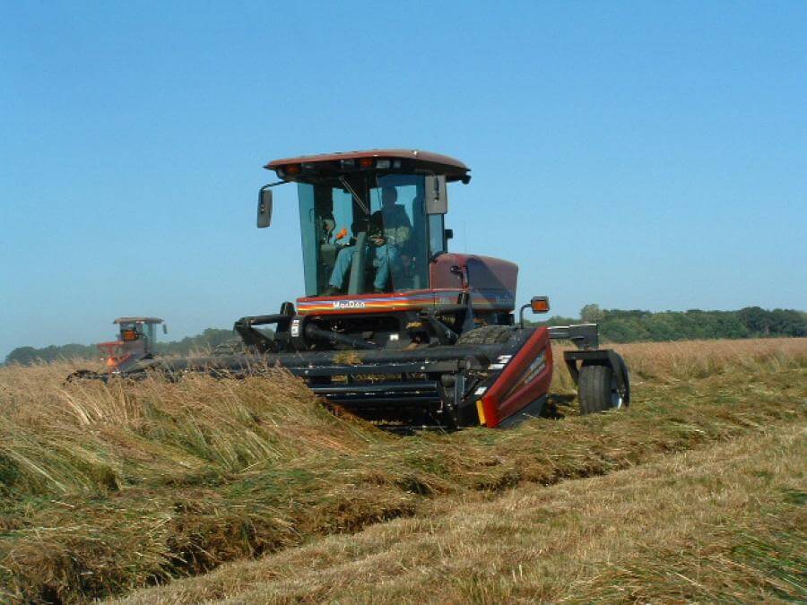 Contract Production | Smith Seed Services