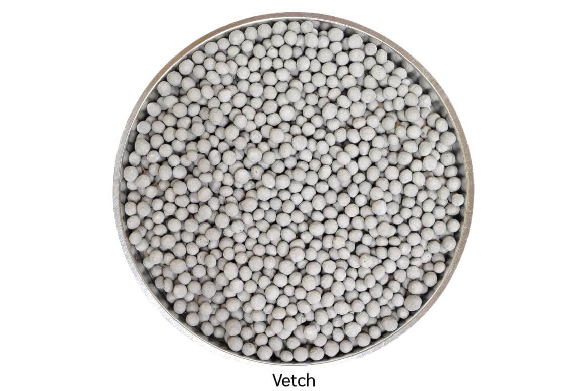 Common Vetch Vicia sativa | Smith Seed Services