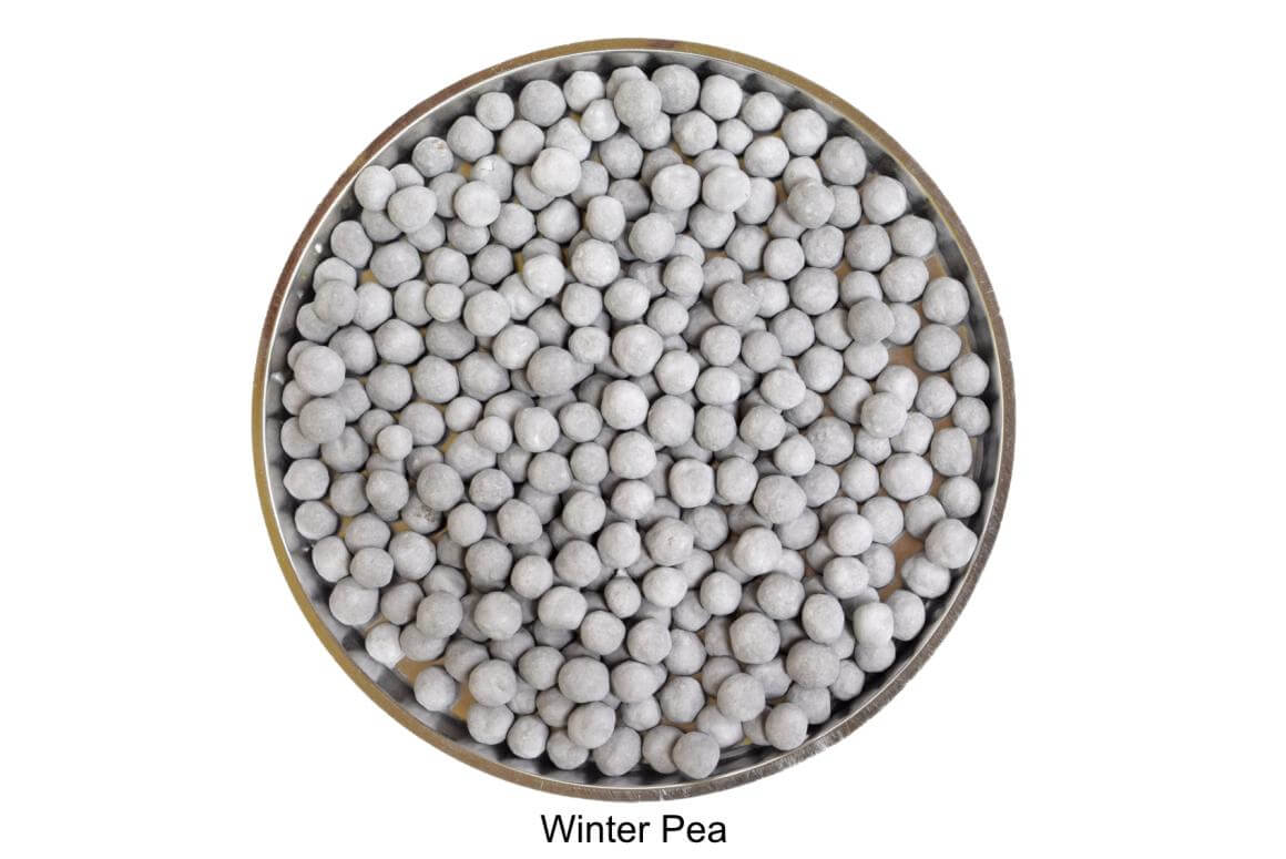 WyoWinter Winter Pea | Smith Seed Services