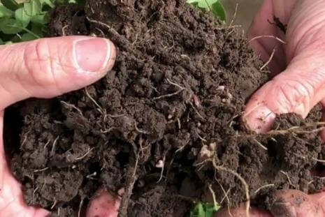 May 2019 | Smith Seed Services