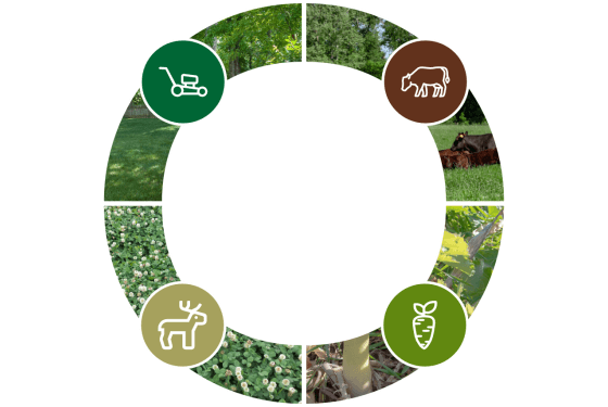 Home | Smith Seed Services