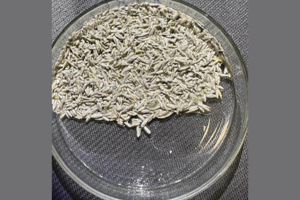 AquaTeksc™ Water-Absorbent Technology | Smith Seed Services