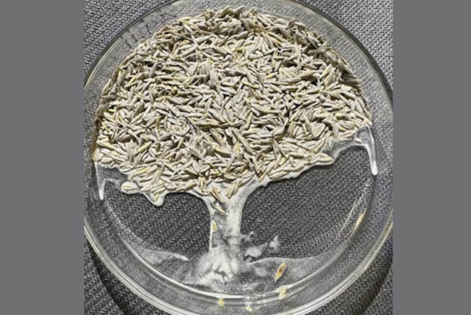 AquaTeksc™ Water-Absorbent Technology | Smith Seed Services