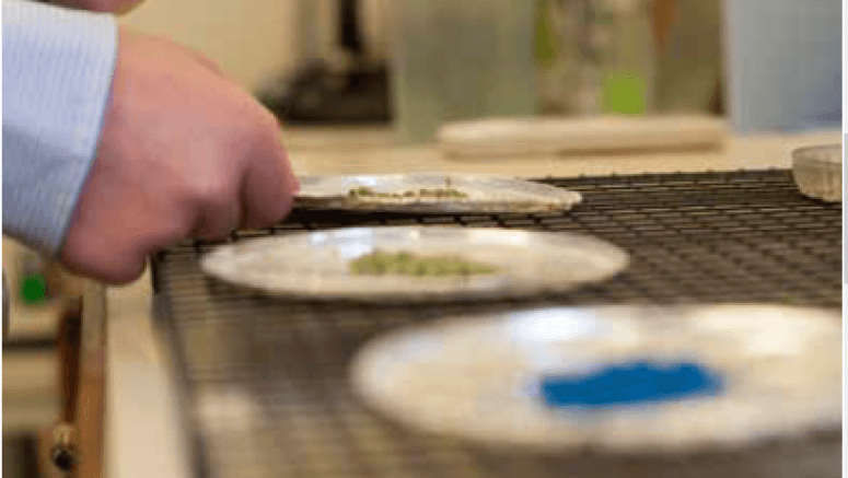 About Us | Smith Seed Services