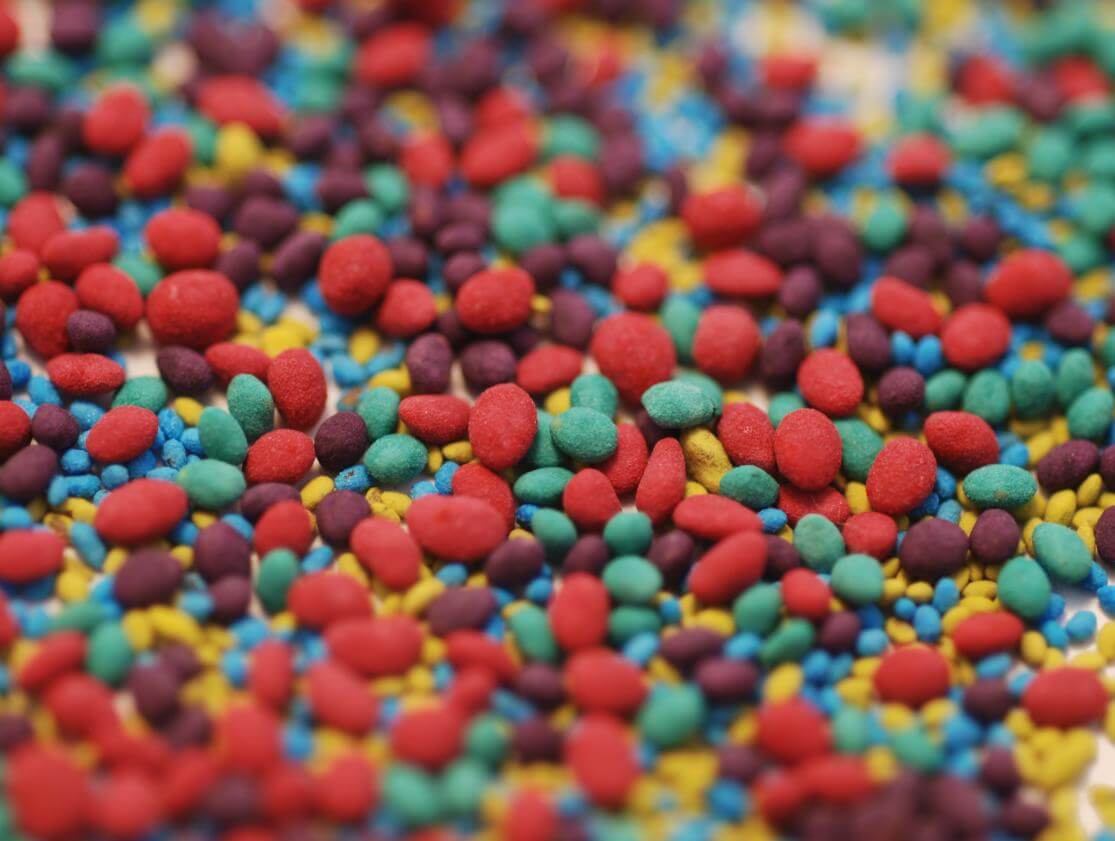 Services | Smith Seed Services